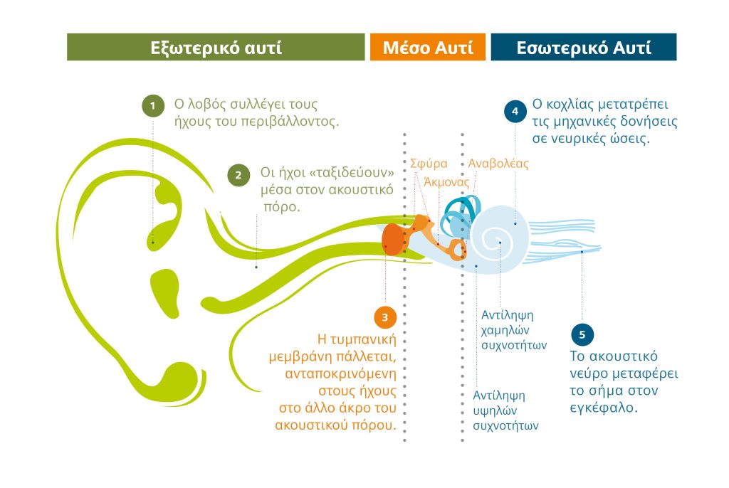 Ακοή και βαρηκοΐα – Ακουστικά Βαρηκοΐας